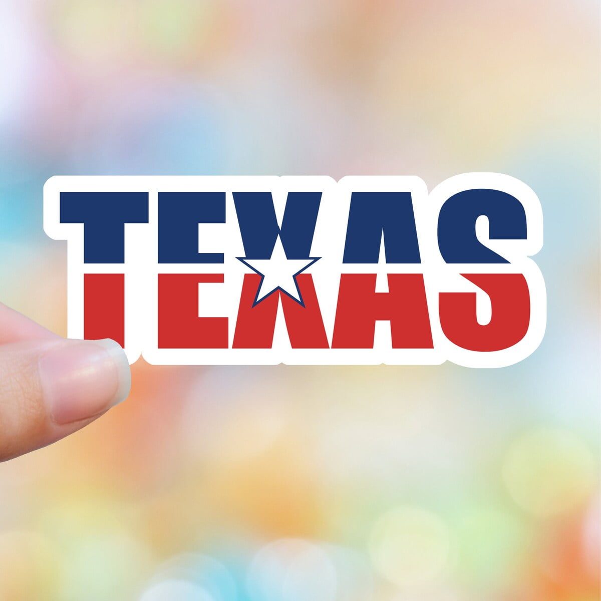 Stickly Texas Sticker State Sticker Desert Sticker Dallas Sticker ...