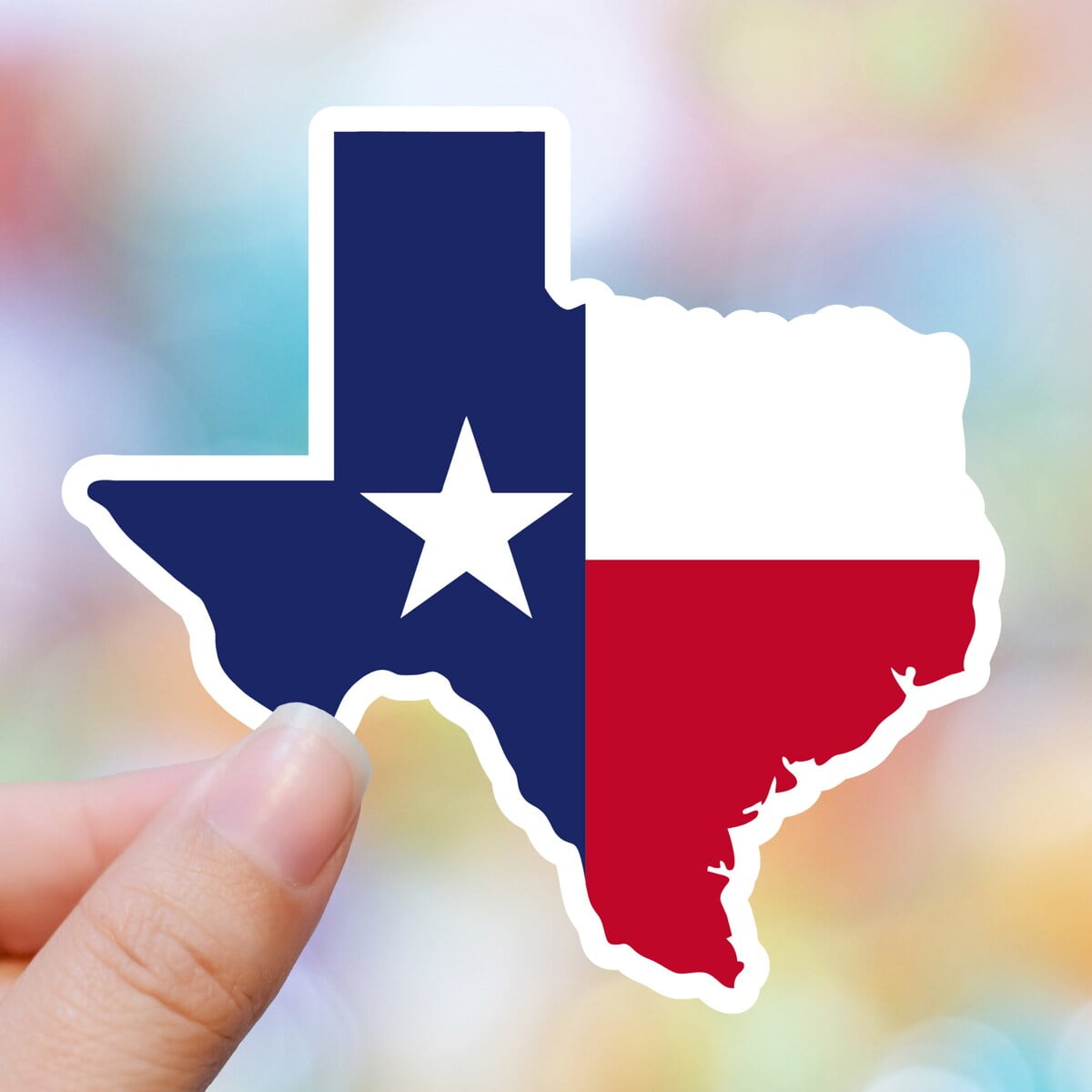 Stickly Texas Sticker State Sticker Desert Sticker Dallas Sticker ...