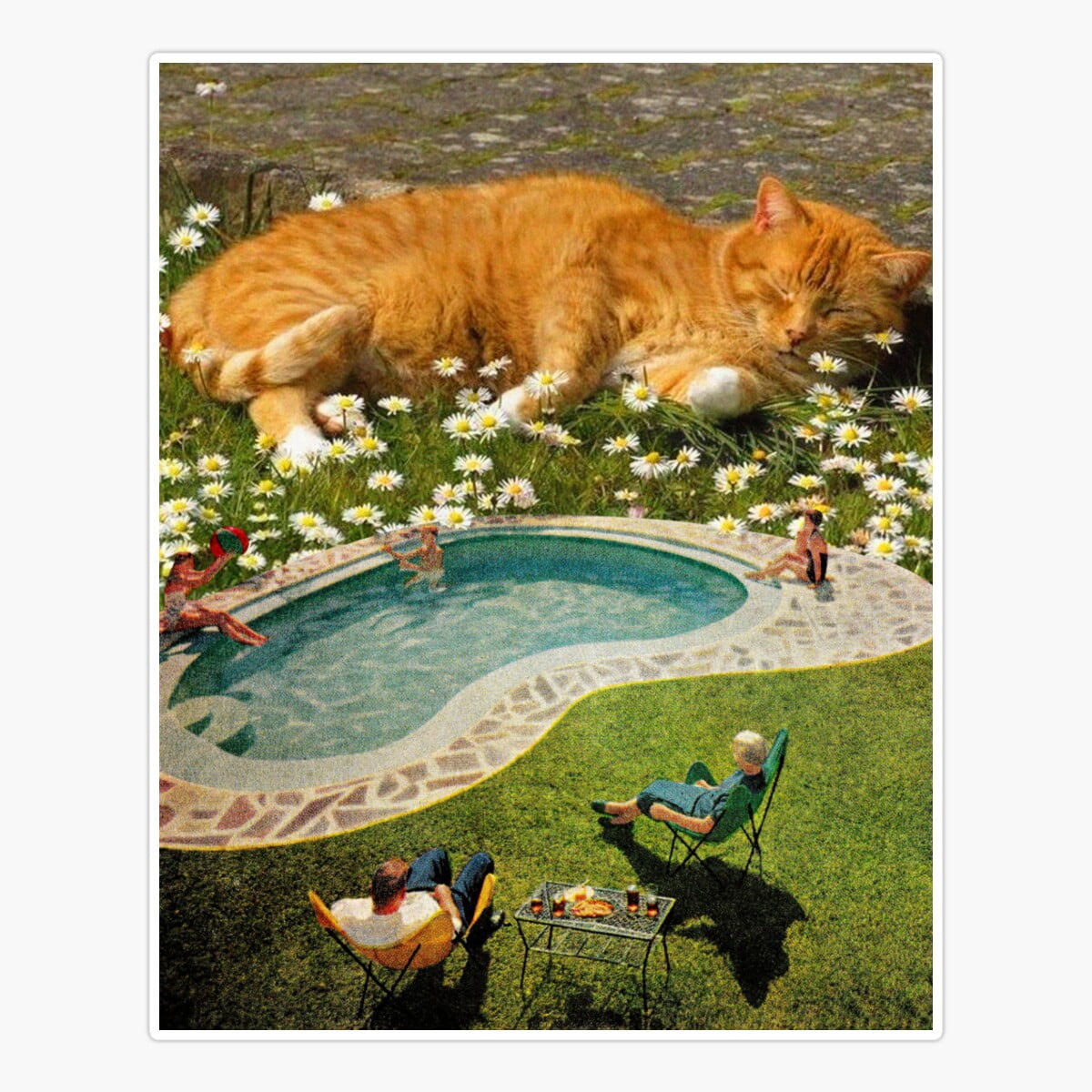 Stickly The Kitty Pool Sticker, Phone Decal Water Bottle Stickers Car ...