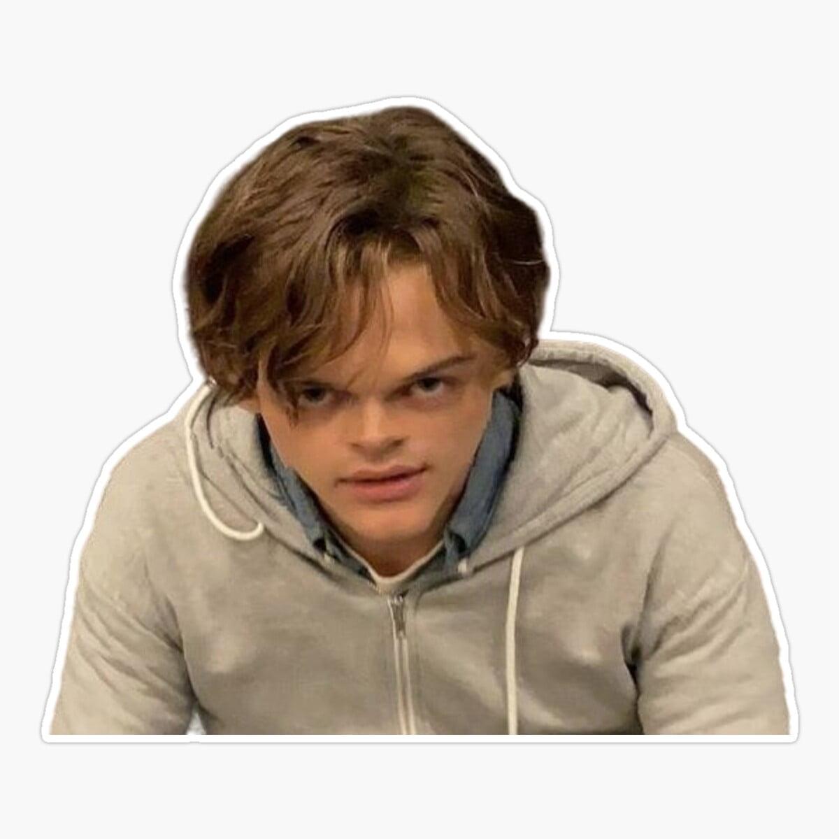 Stickly The Summer I Turned Pretty - Silly Goose Conrad Sticker, Phone Decal Water Bottle ...