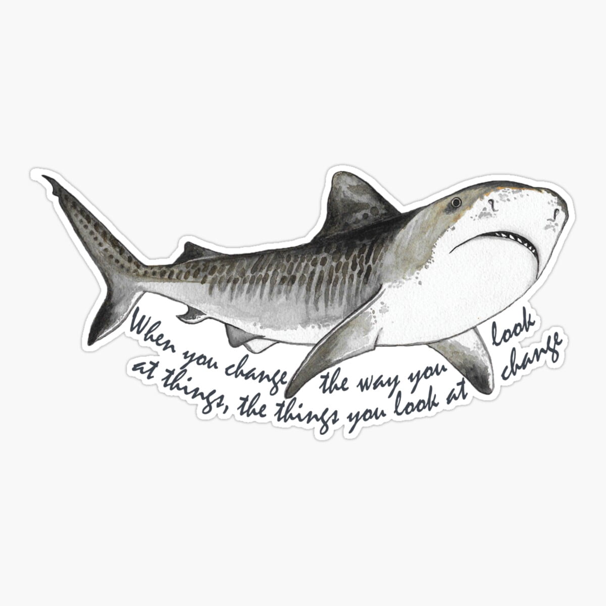 Stickly Tiger Shark - When You Change The Way You Look At Thing The ...