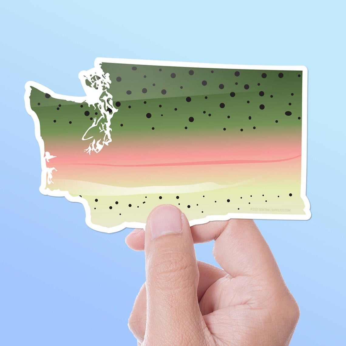 Stickly Washington Rainbow Trout Fly Fishing Er, Vinyl Trout Fishing Er ...