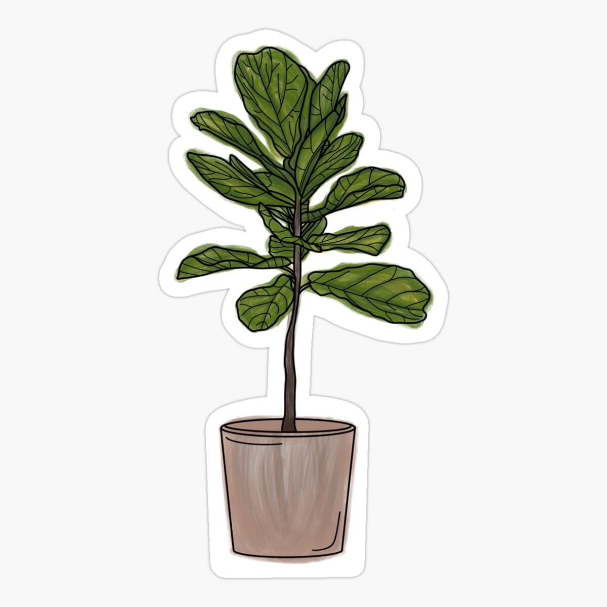 Stickly Watercolor Fiddle Fig Tree Sticker, Phone Decal Water Bottle ...