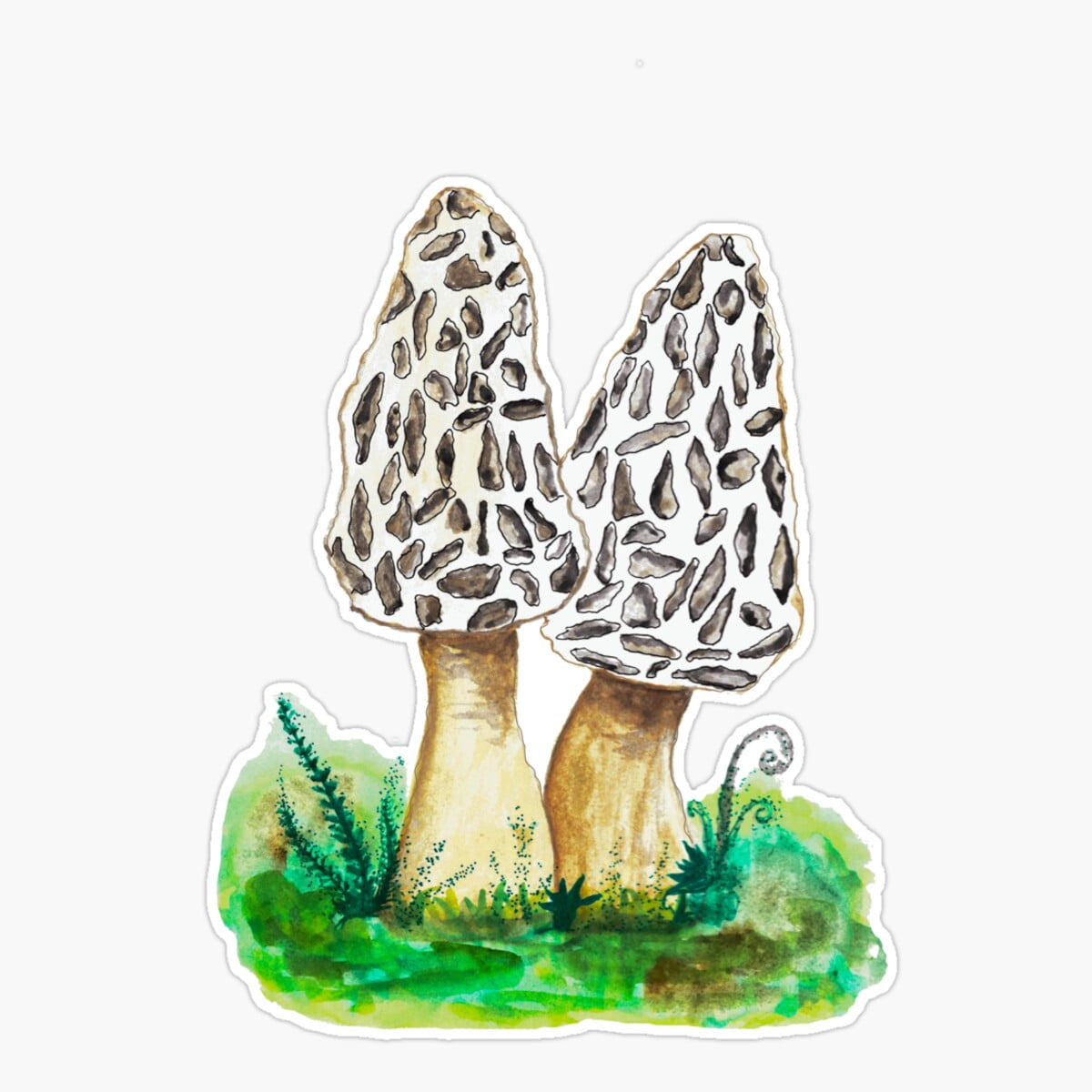 Stickly Watercolour Morel Mushroom Sticker, Phone Decal Water Bottle ...