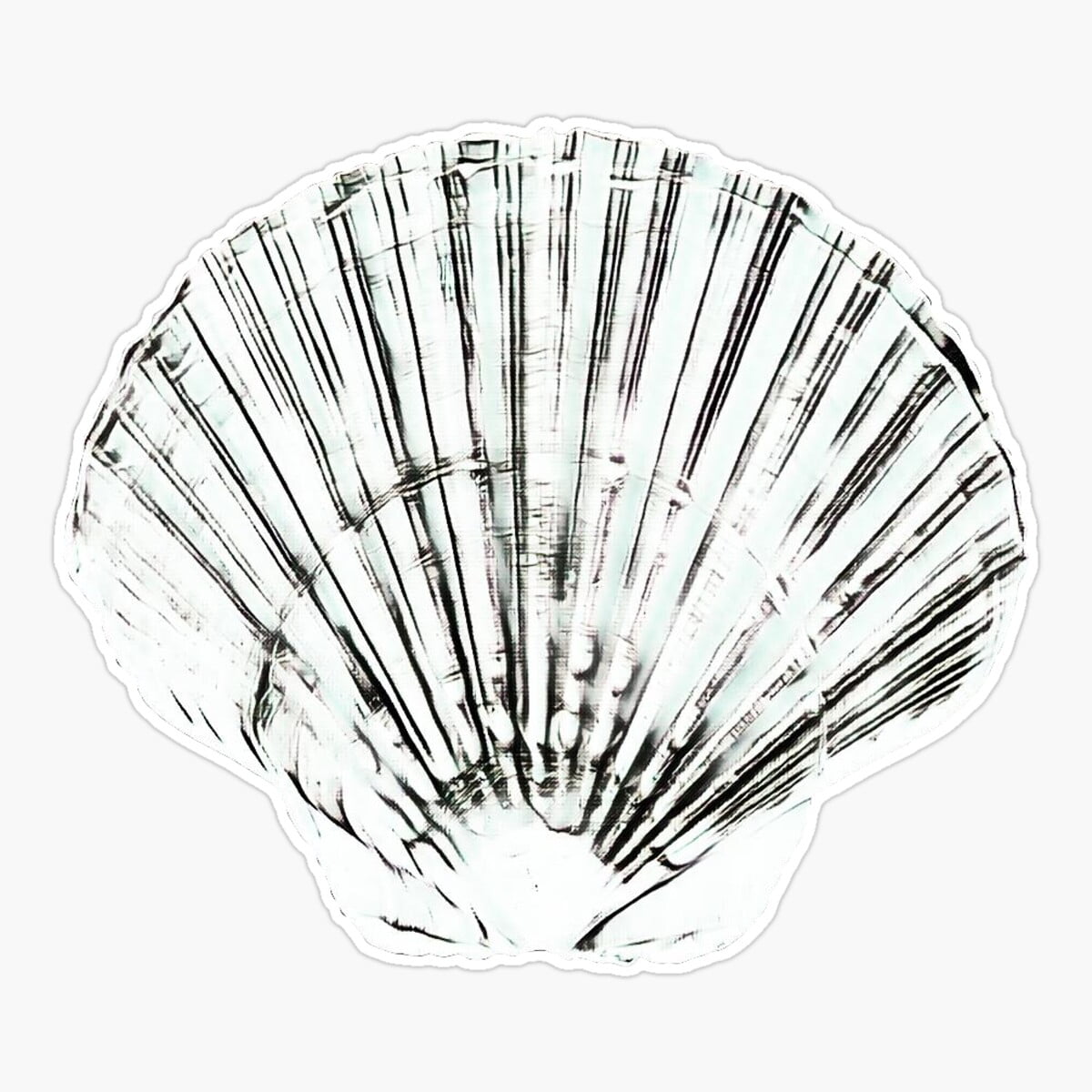 Stickly White Seashell On Dark Red Sticker, Phone Decal Water Bottle ...