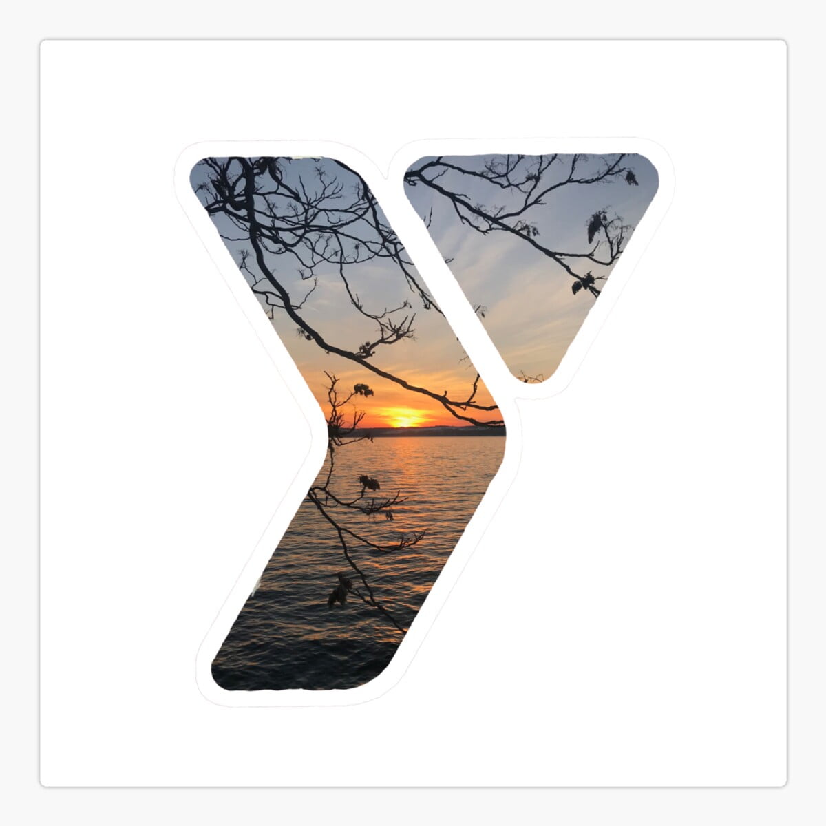 Stickly Ymca Sunset Tree Logo Sticker, Phone Decal Water Bottle ...
