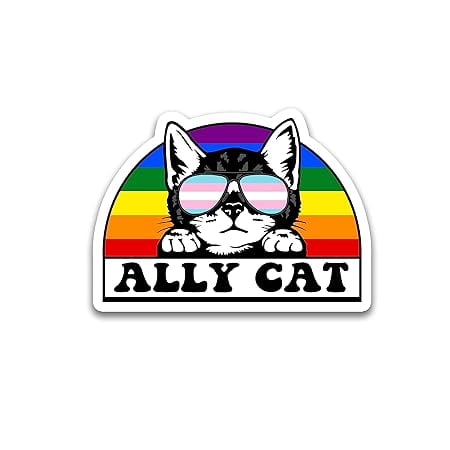 Stickology Ally Cat Stickers, Pride Stickers, Trans Ally Stickers ...