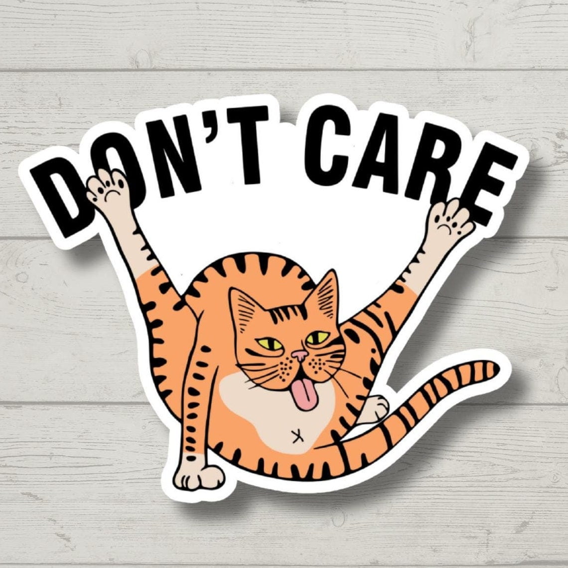Stickology Don't Care, Funny Cat er for Laptop, Water Bottle, Kindle ...