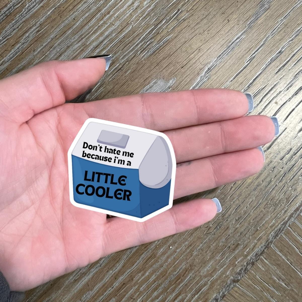 Stickology Don't Hate Me Cause I'm A Little Cooler l Funny Sticker l ...