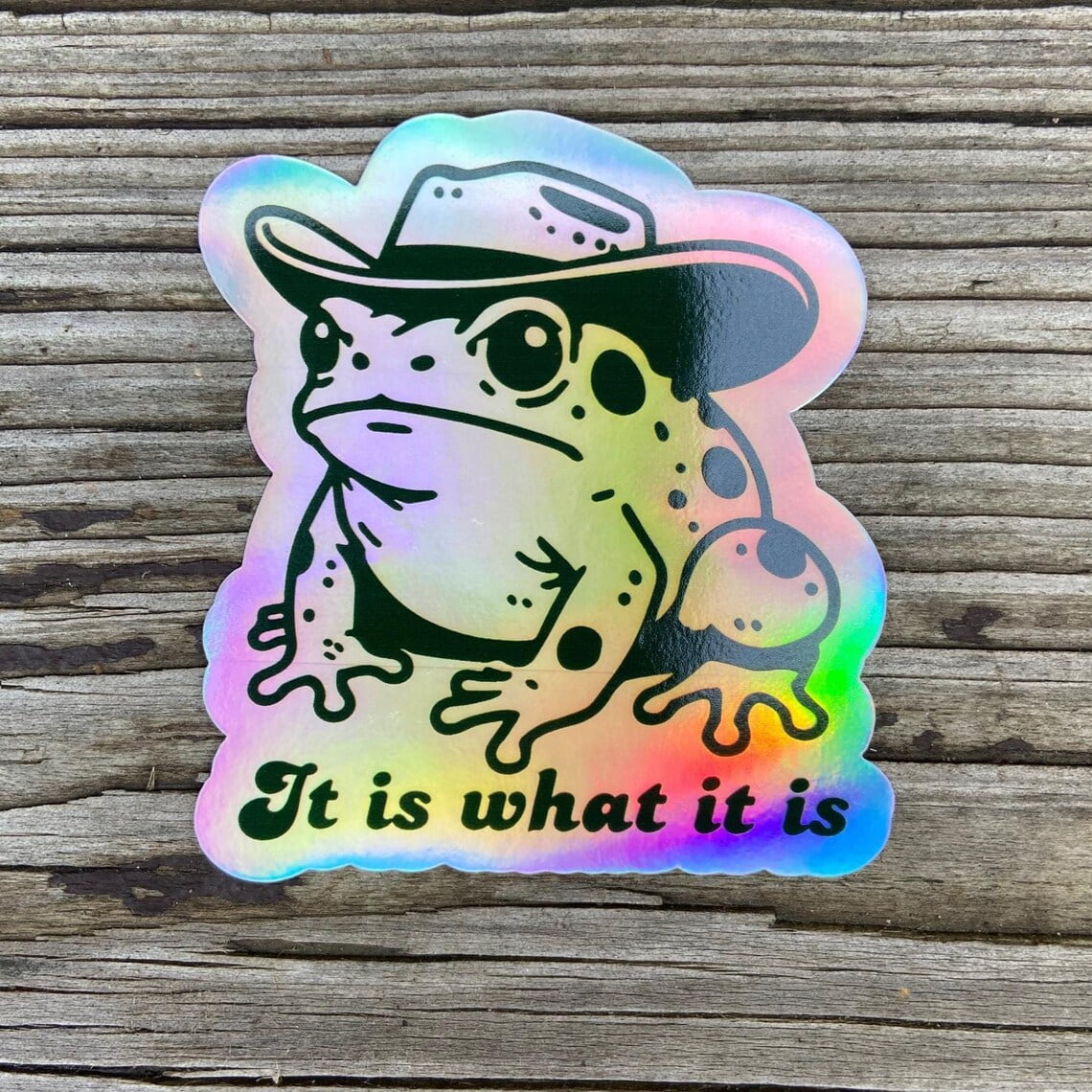 Stickology Funny Toad It Is What It Is er, Frog er, Gen Z Humor, Cute ...