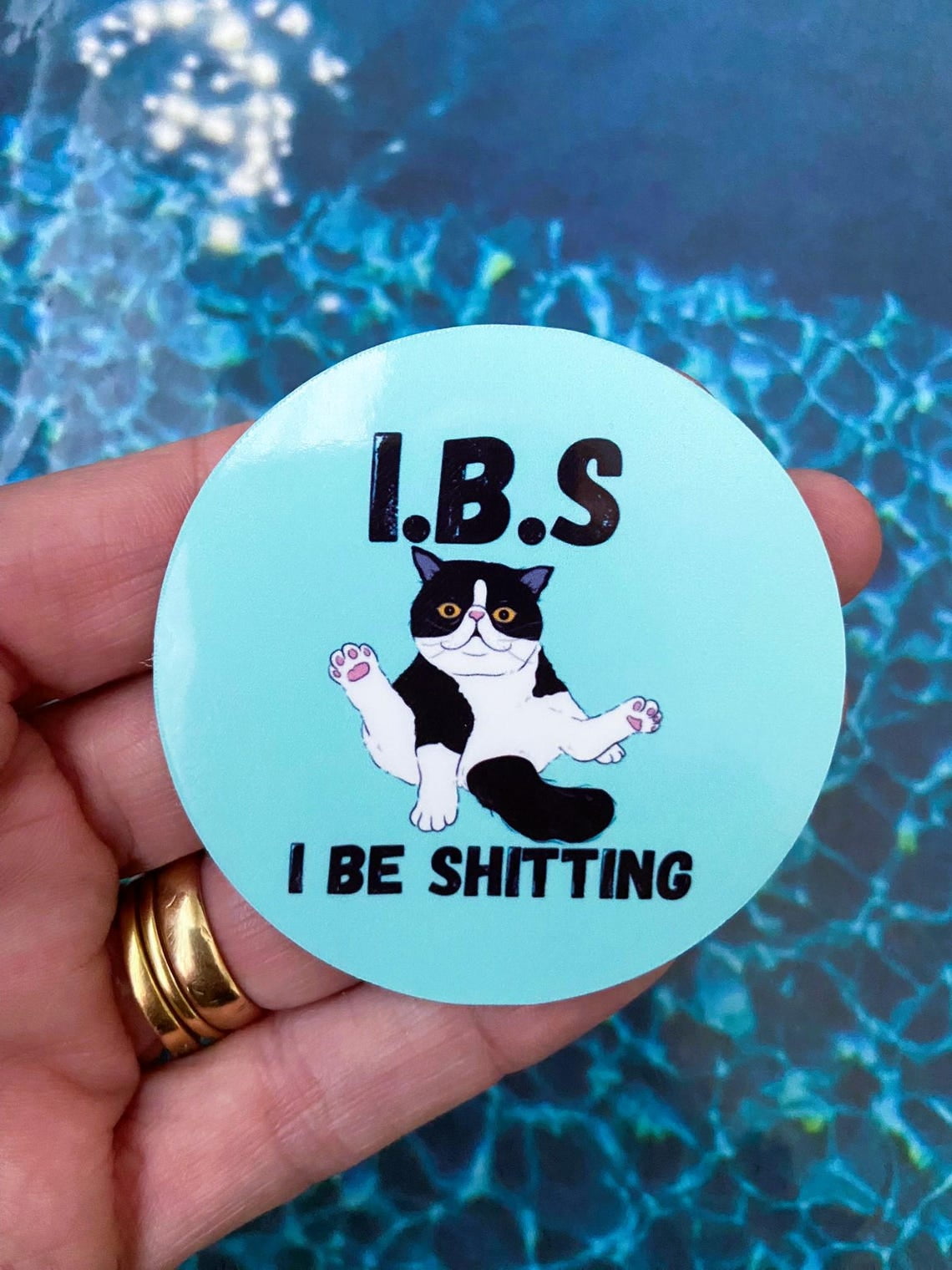 Stickology IBS I be shitting er / IBS er / Vinyl er / Journaling ...