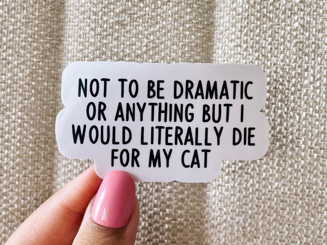 Stickology Not to be dramatic or anything er, cat ers, animal ers, cool ...