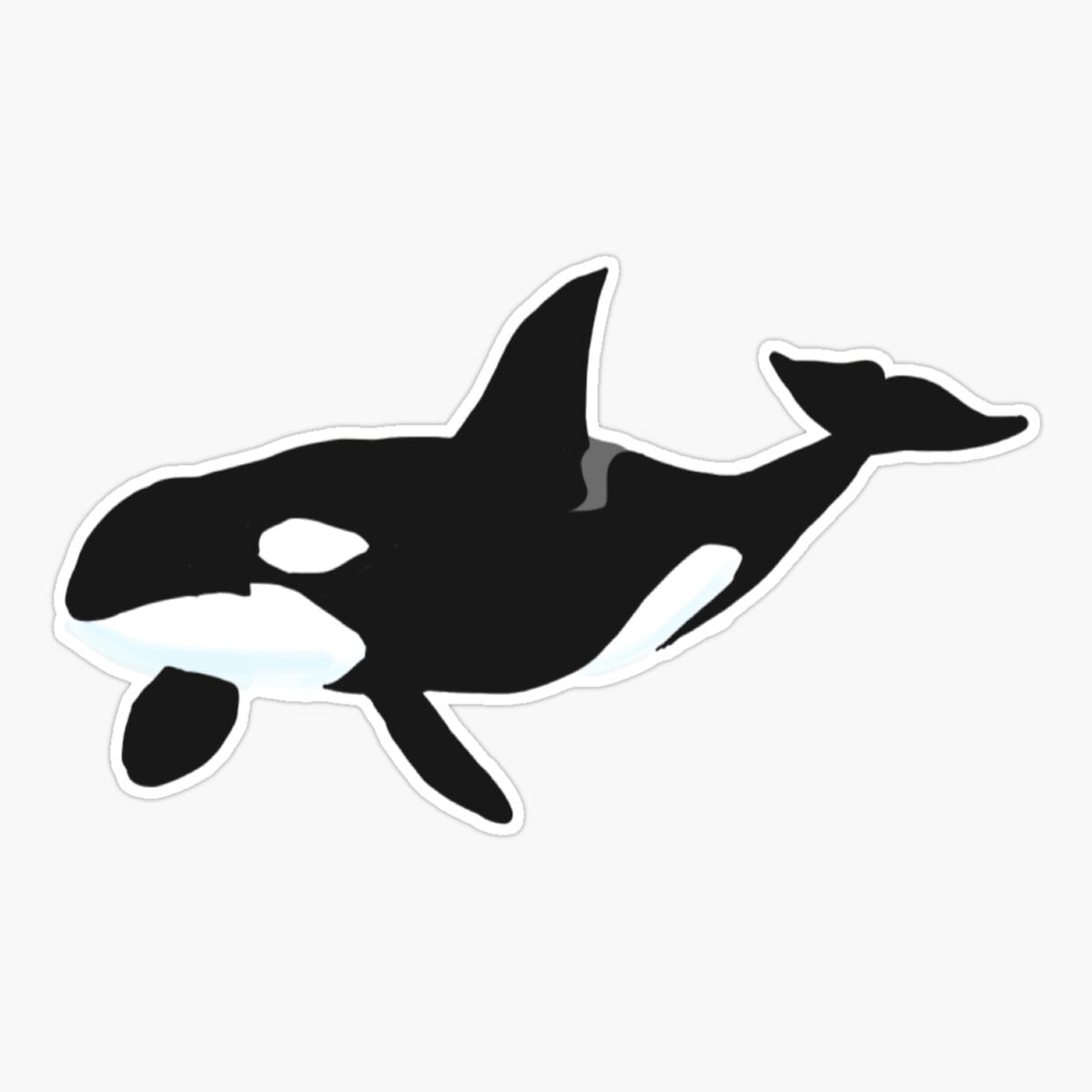 Stickology Orca Whale Killer Whale Sticker Sticker, Phone Decal Water ...