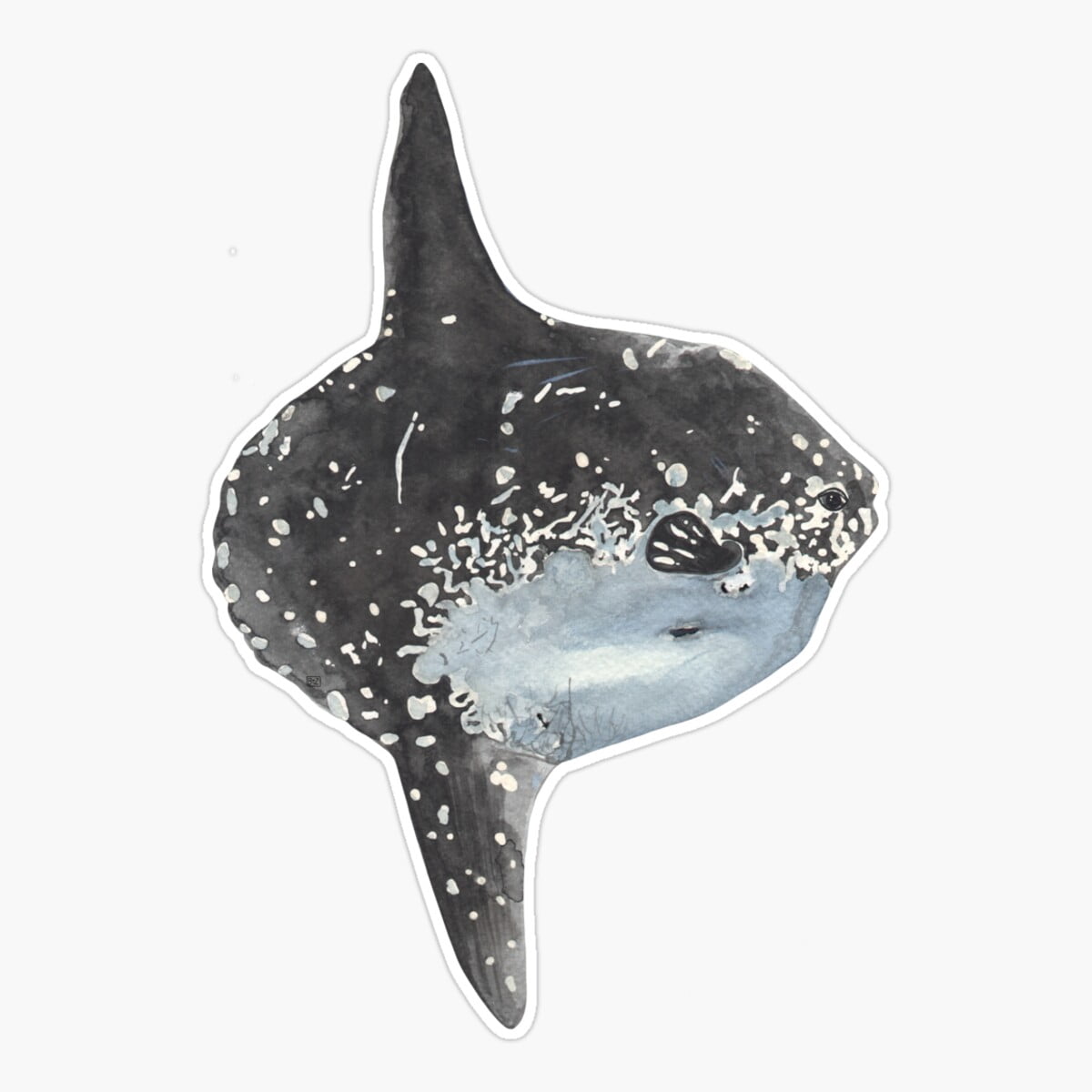 Stickology Sunfish-Cool Cool Sticker, Phone Decal Water Bottle Stickers ...