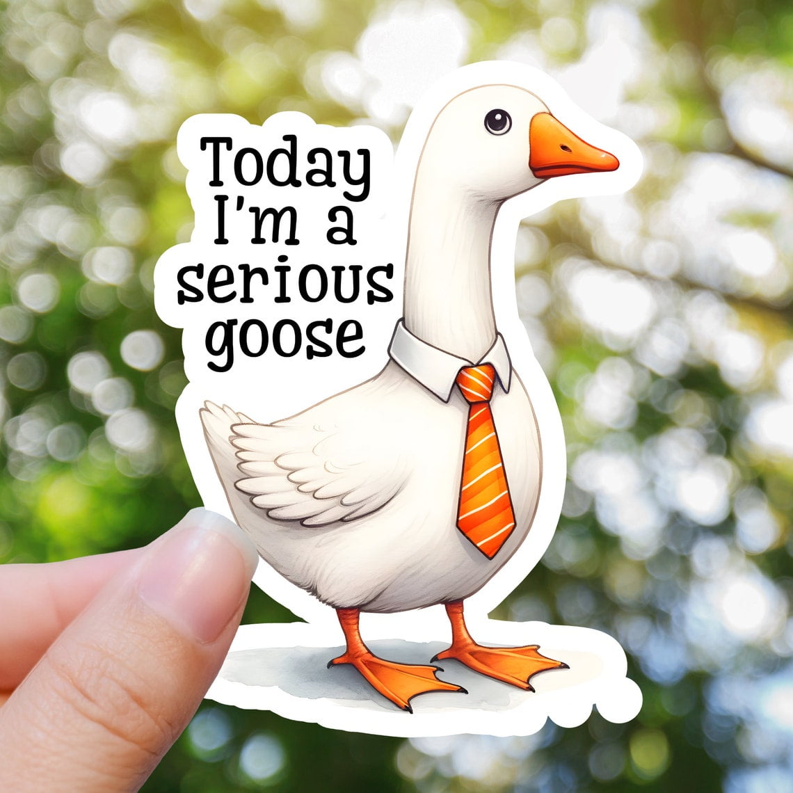 Stickology Today I'm A Serious Goose er, Silly Goose er, Funny Decals ...