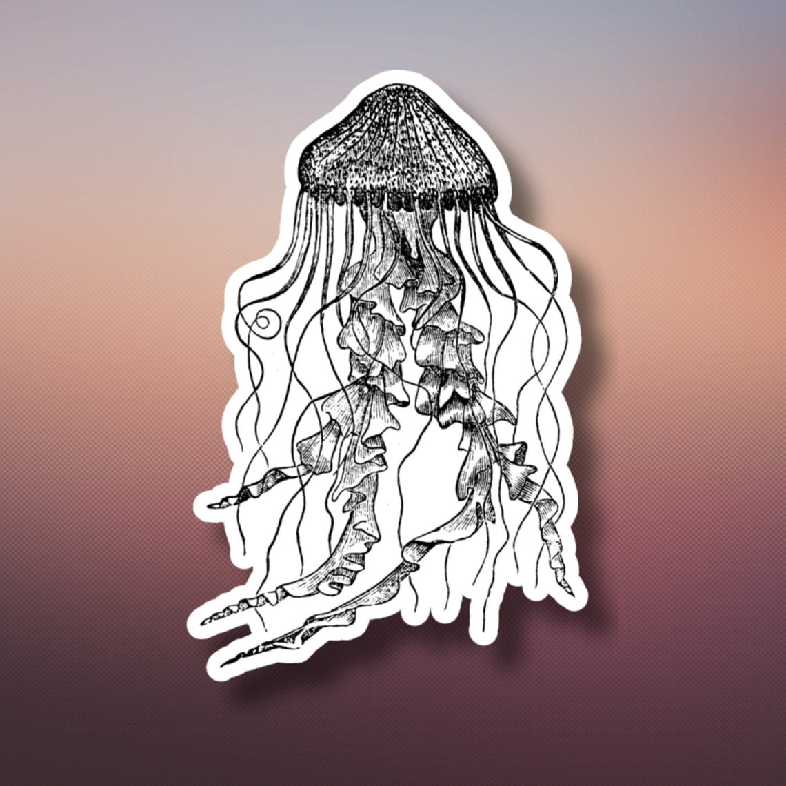 Stickology jellyfish pencil drawing er, aesthetic ers, sea life ers ...
