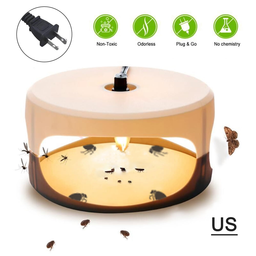 Sticky Flea Trap Dome Flea Bed Bug Trap with 2 Glue Discs, Odorless ...