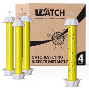 Fruit Fly and Gnat Traps in Fly - Walmart.com