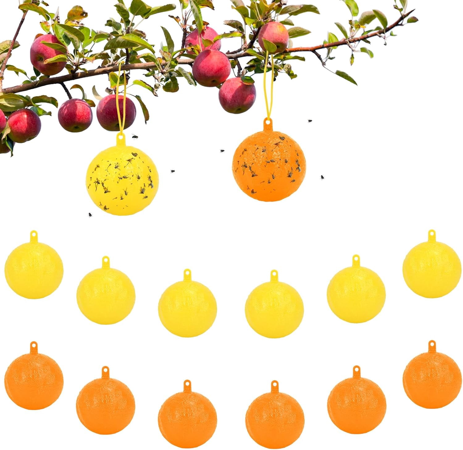 Sticky Fruit Fly Trap Ball, 12pcs Hanging Fungus Gnat Trap Killer ...