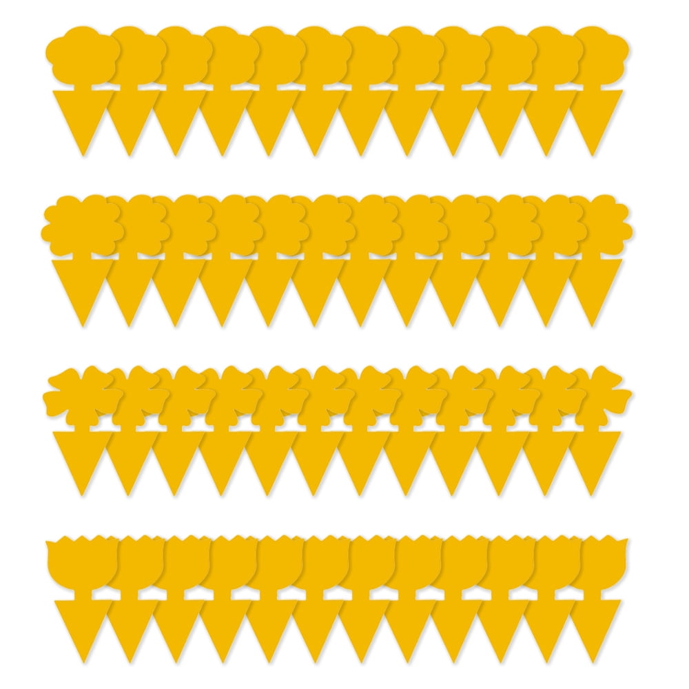 Sticky Fruit Fly Traps Fungus Killer Trap Catcher 48pcs Fly Paper ...