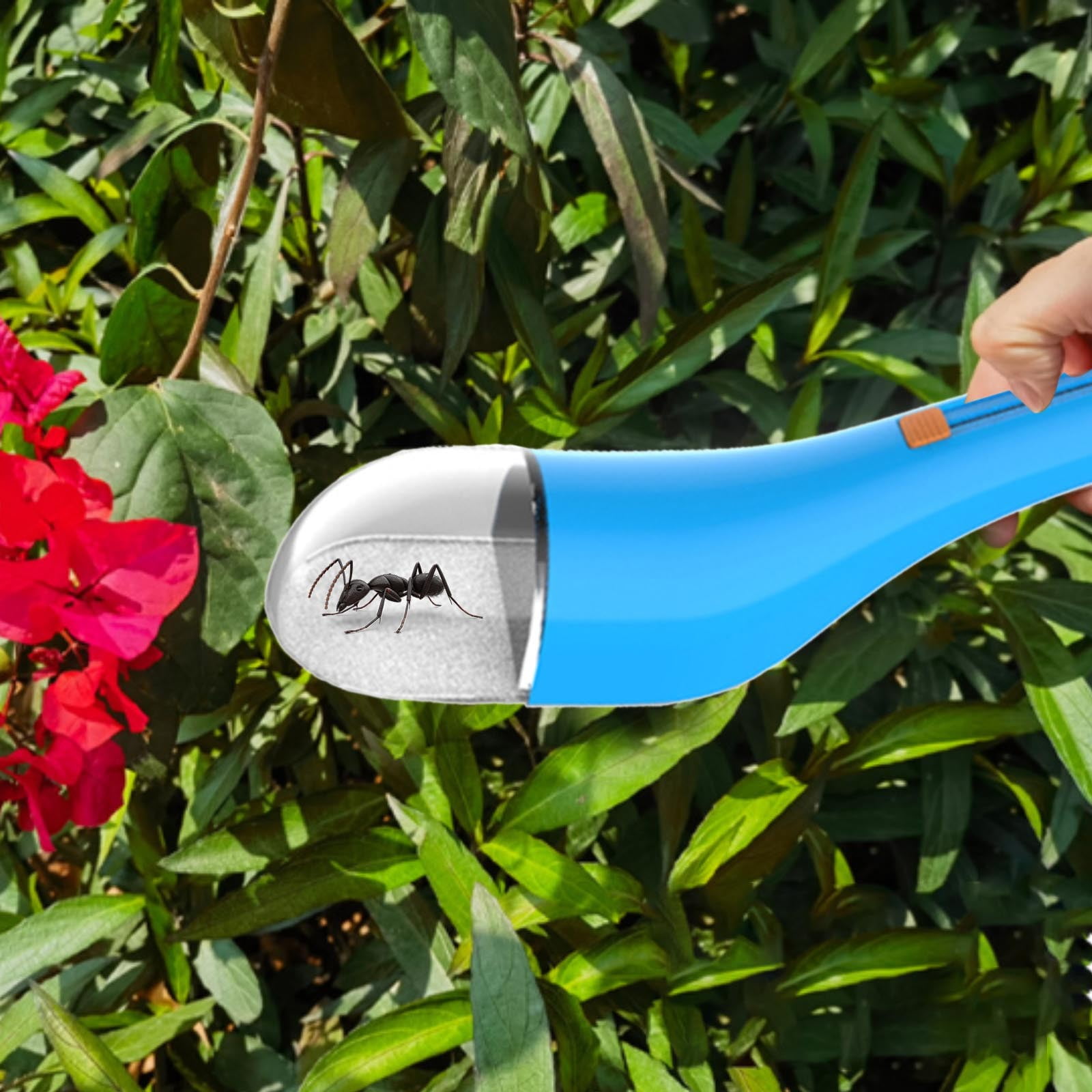 Sticky Sticks Toy Viewer Catcher Bugview Catching Magnifier - Walmart.com