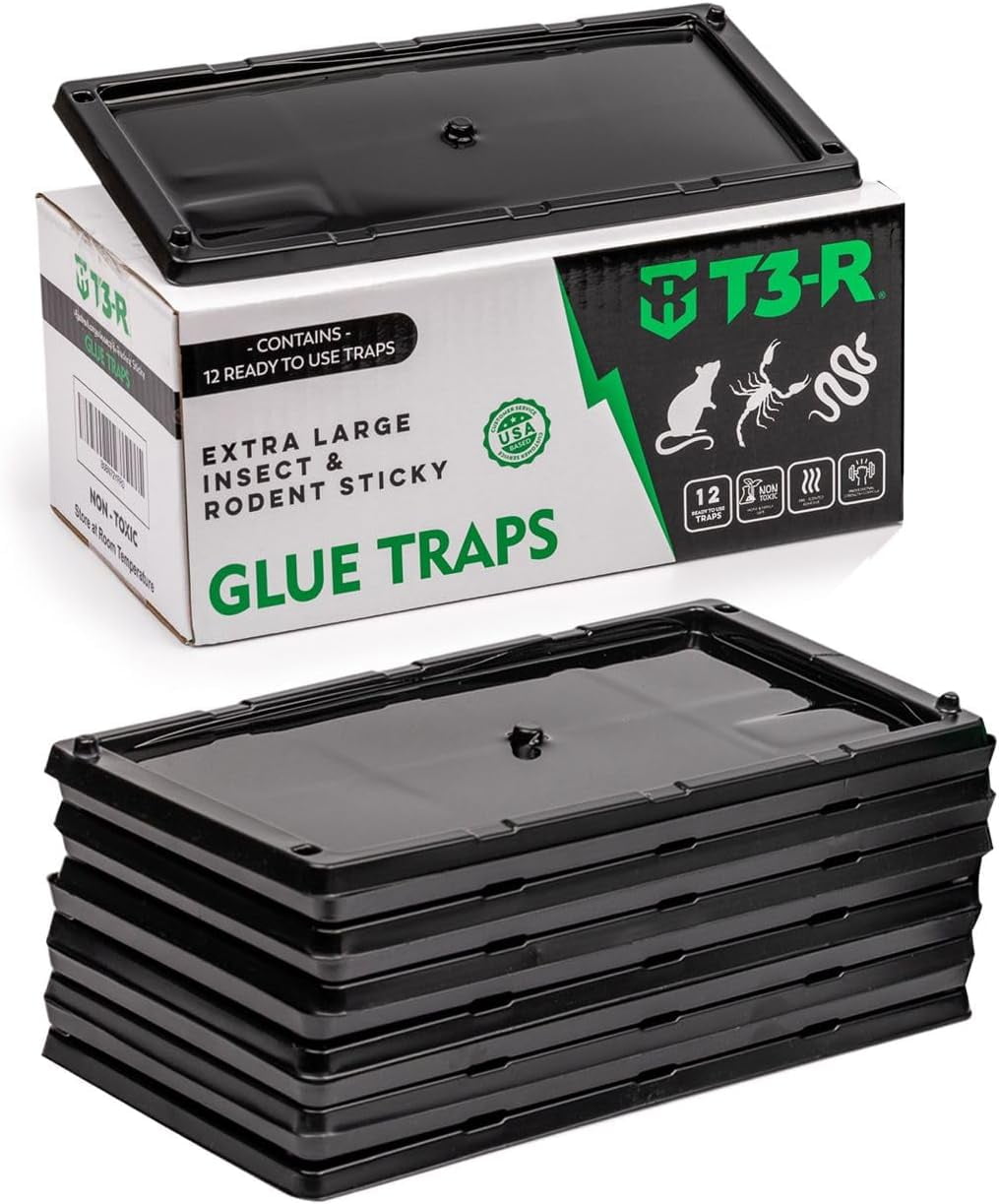 Sticky Traps for Bugs Extra Large (12 Pack) - Mouse and Insect Glue ...