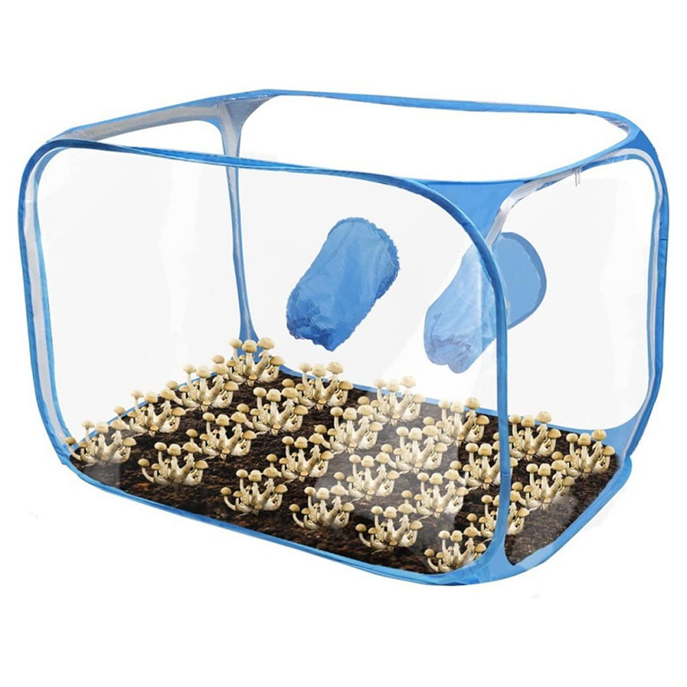 Still Air Box Mushroom Grow Kit, Portable Mycology Cultivation Chamber ...