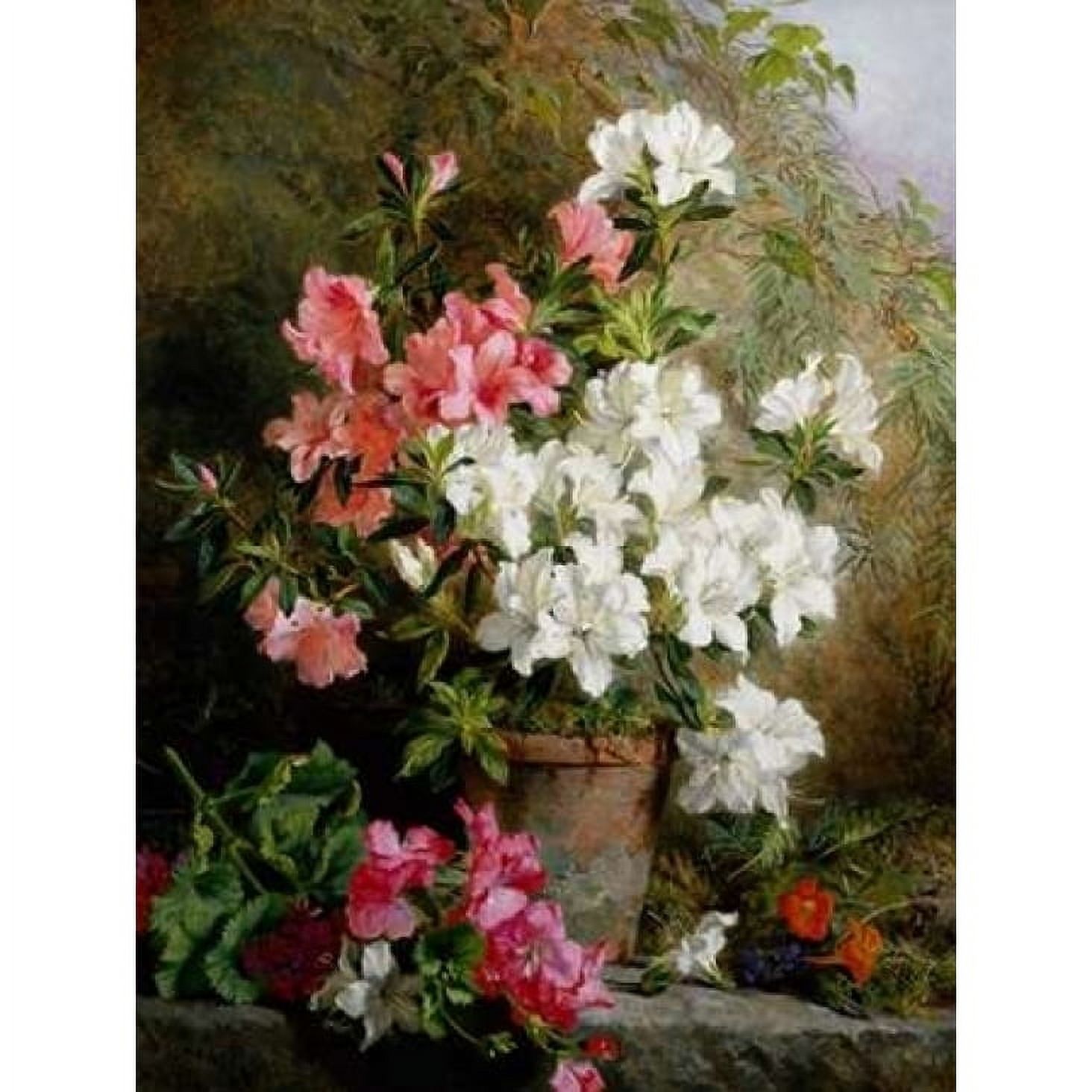 Still Life of Azaleas Poster Print by Annie Feray Mutrie - Walmart.com