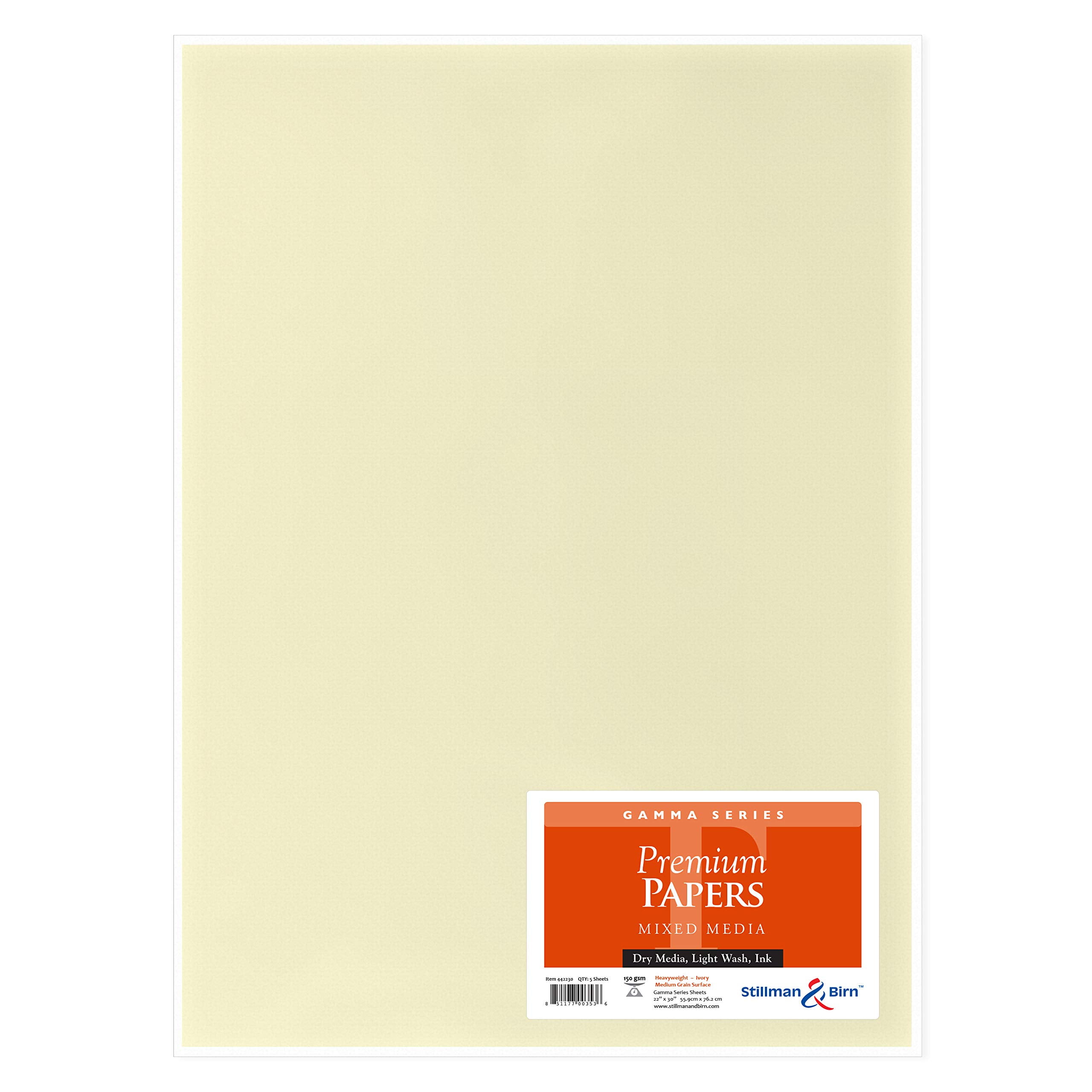 Stillman & Birn Gamma Series - Art Paper - Pack of 5 Sheets - 22 x 30 ...