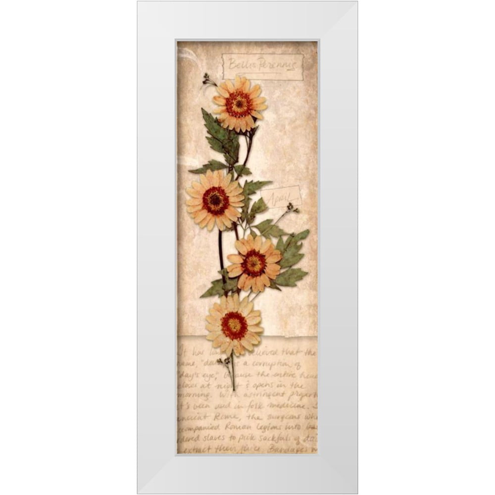 Stimson, Diane 11x24 White Modern Wood Framed Museum Art Print Titled ...