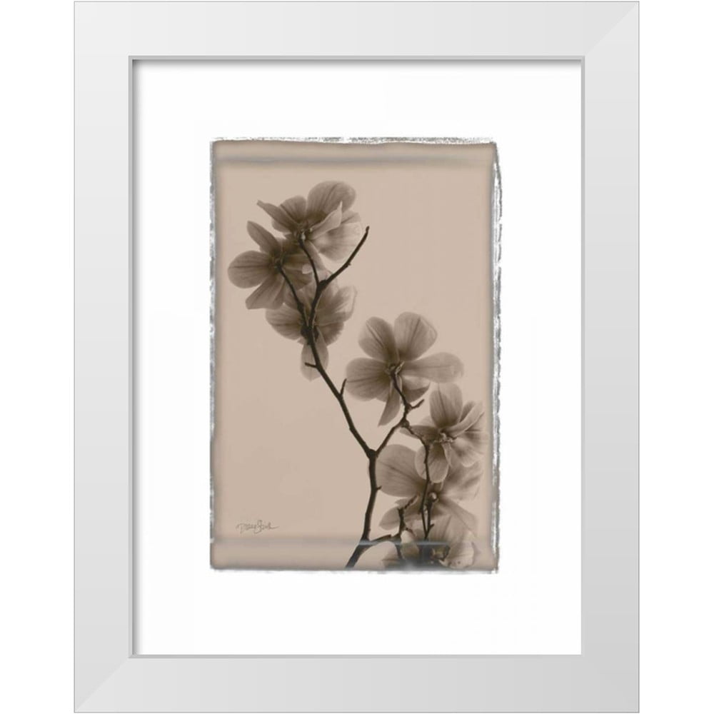 Stimson, Diane 25x32 White Modern Wood Framed Museum Art Print Titled ...