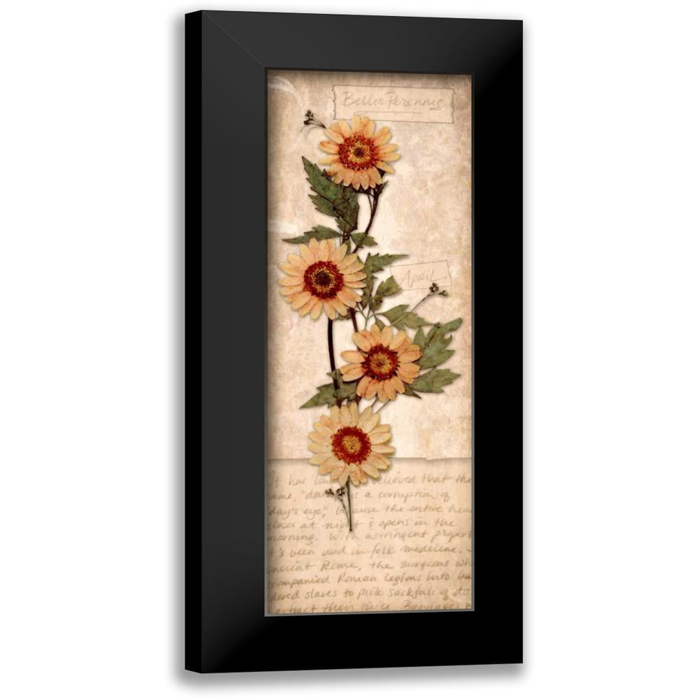 Stimson, Diane 9x18 Black Modern Framed Museum Art Print Titled - April ...