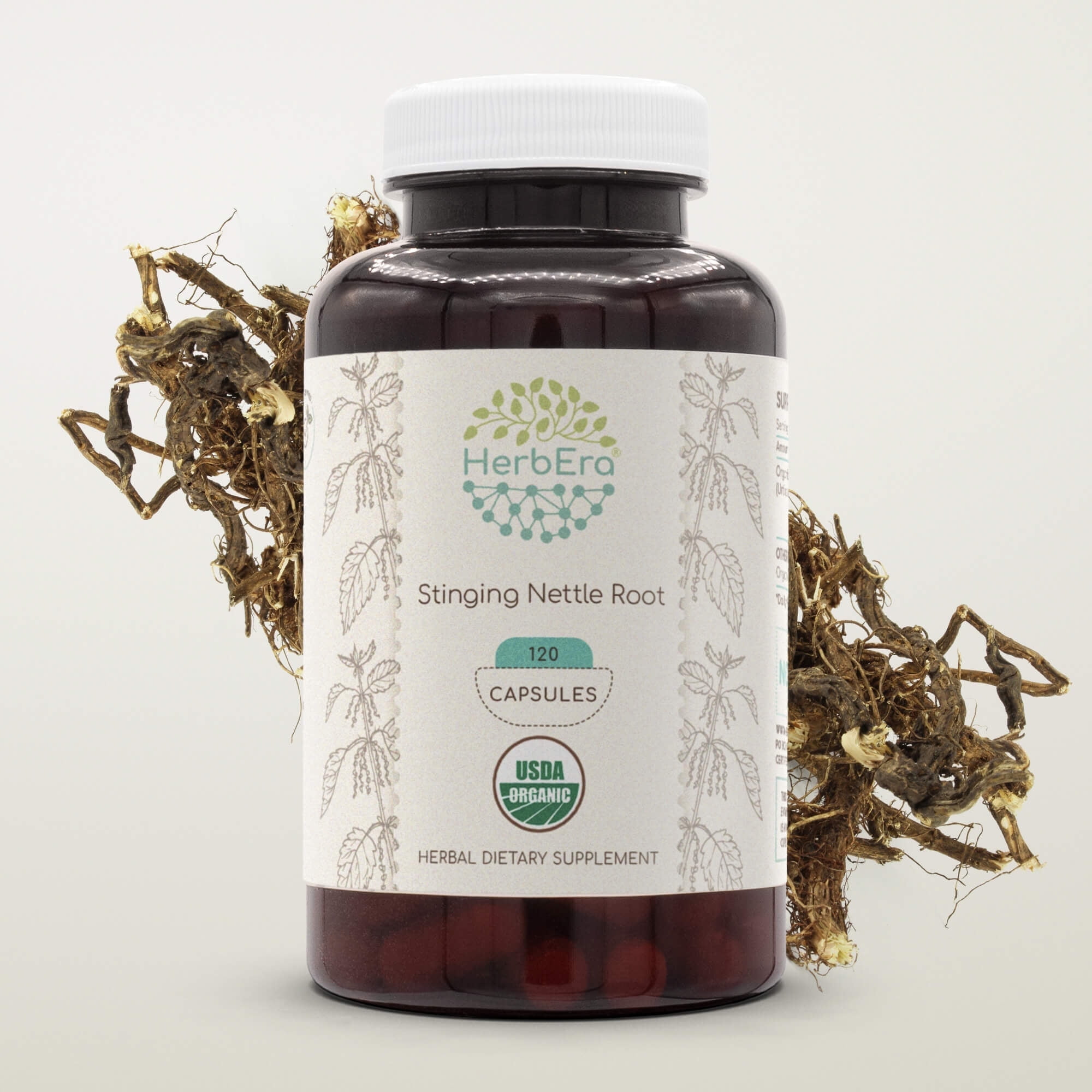 HerbEra Stinging Nettle Root Capsules, Organic Herbal Dietary ...