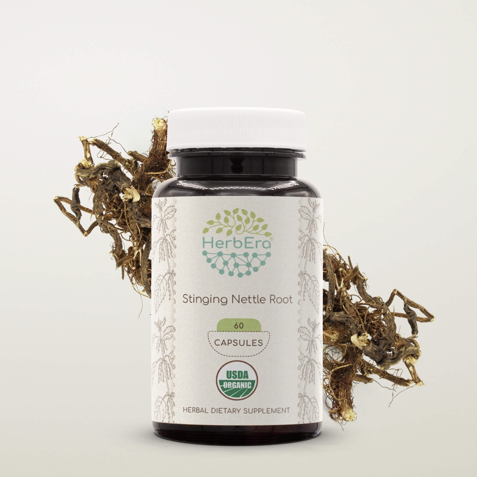 HerbEra Stinging Nettle Root Capsules, Organic Herbal Dietary ...