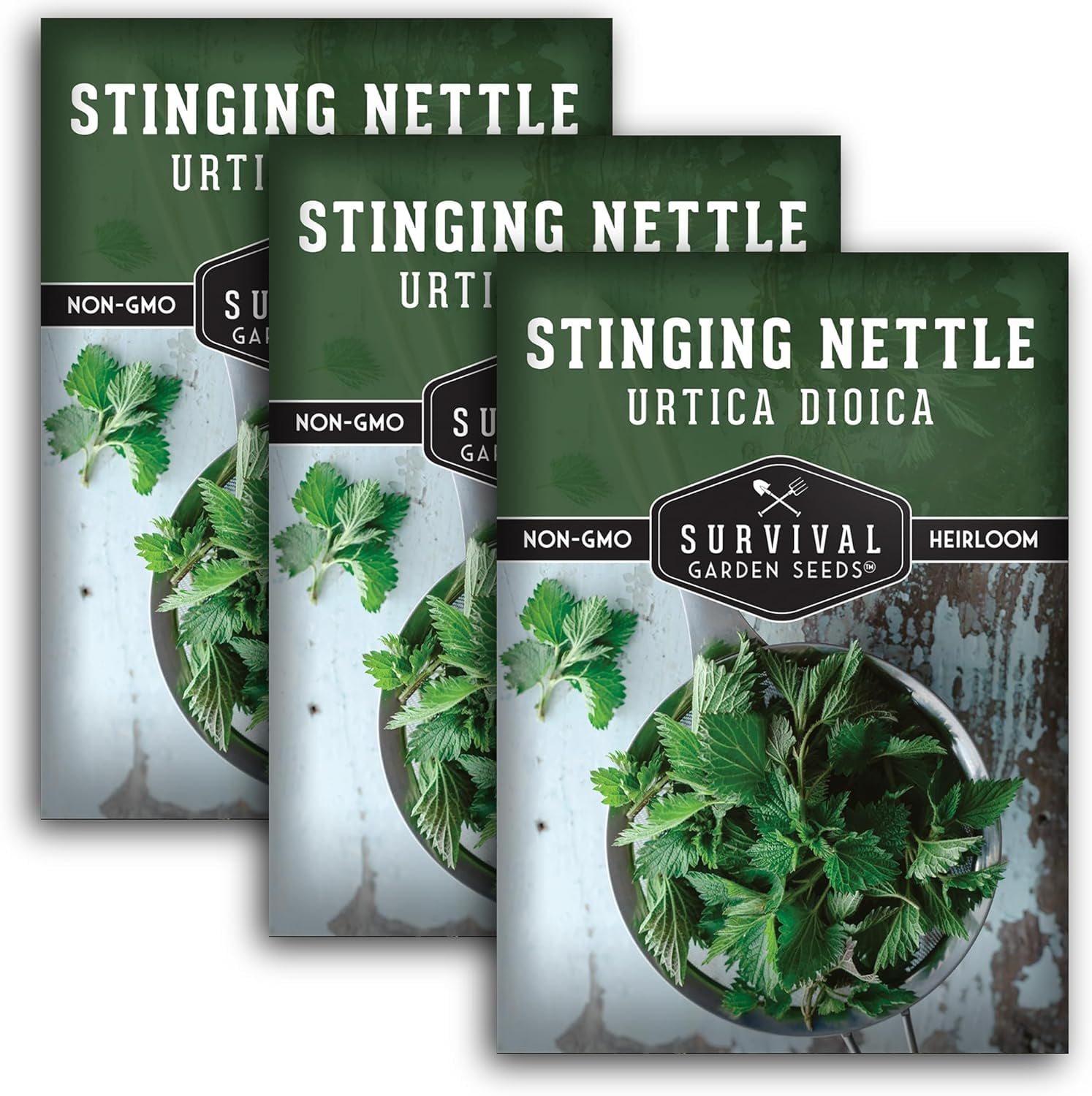 Stinging Nettle Seed for Planting - 3 Packets with Instructions to ...