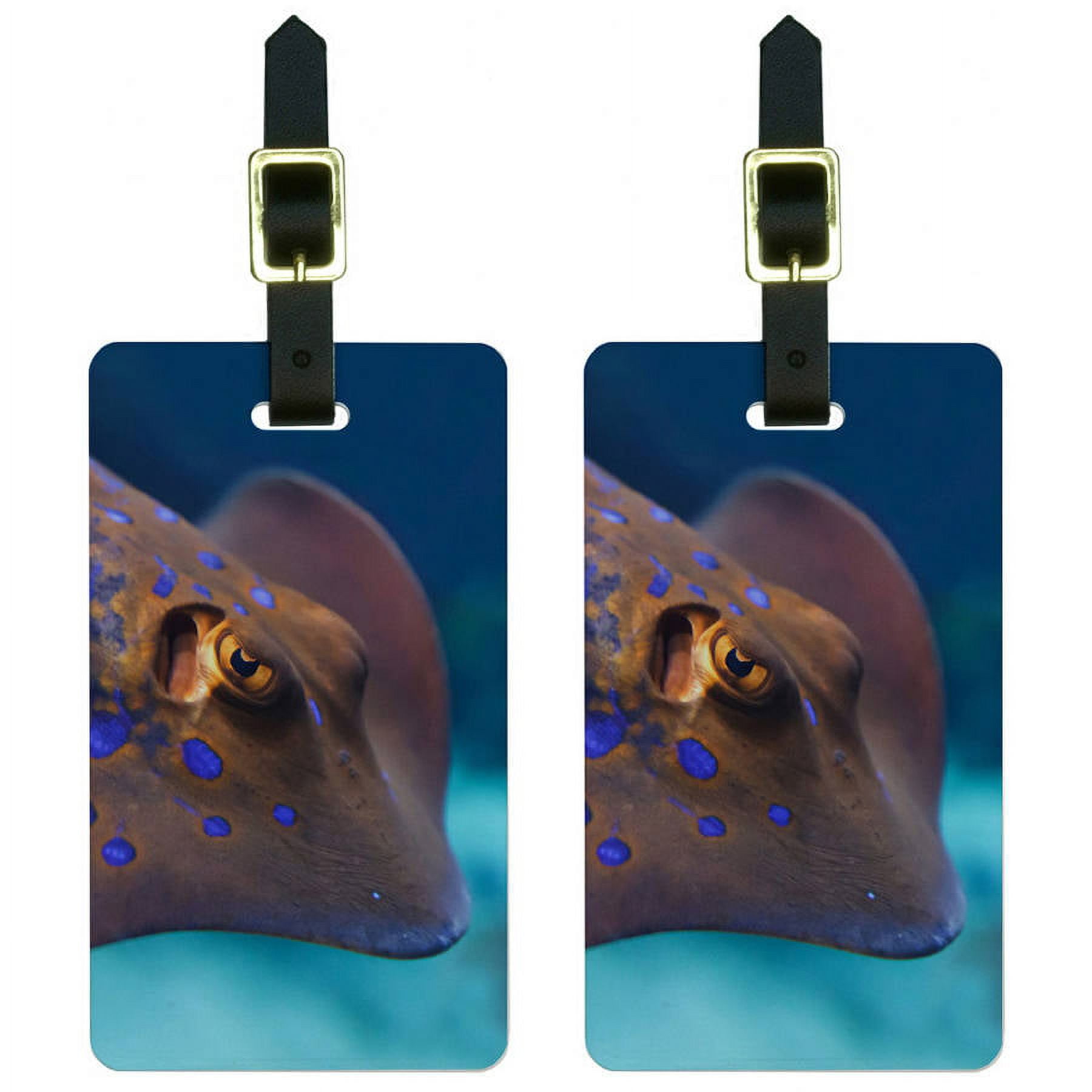 Stingray Fish Underwater Ocean Diving Dive Luggage Tags Suitcase ID ...