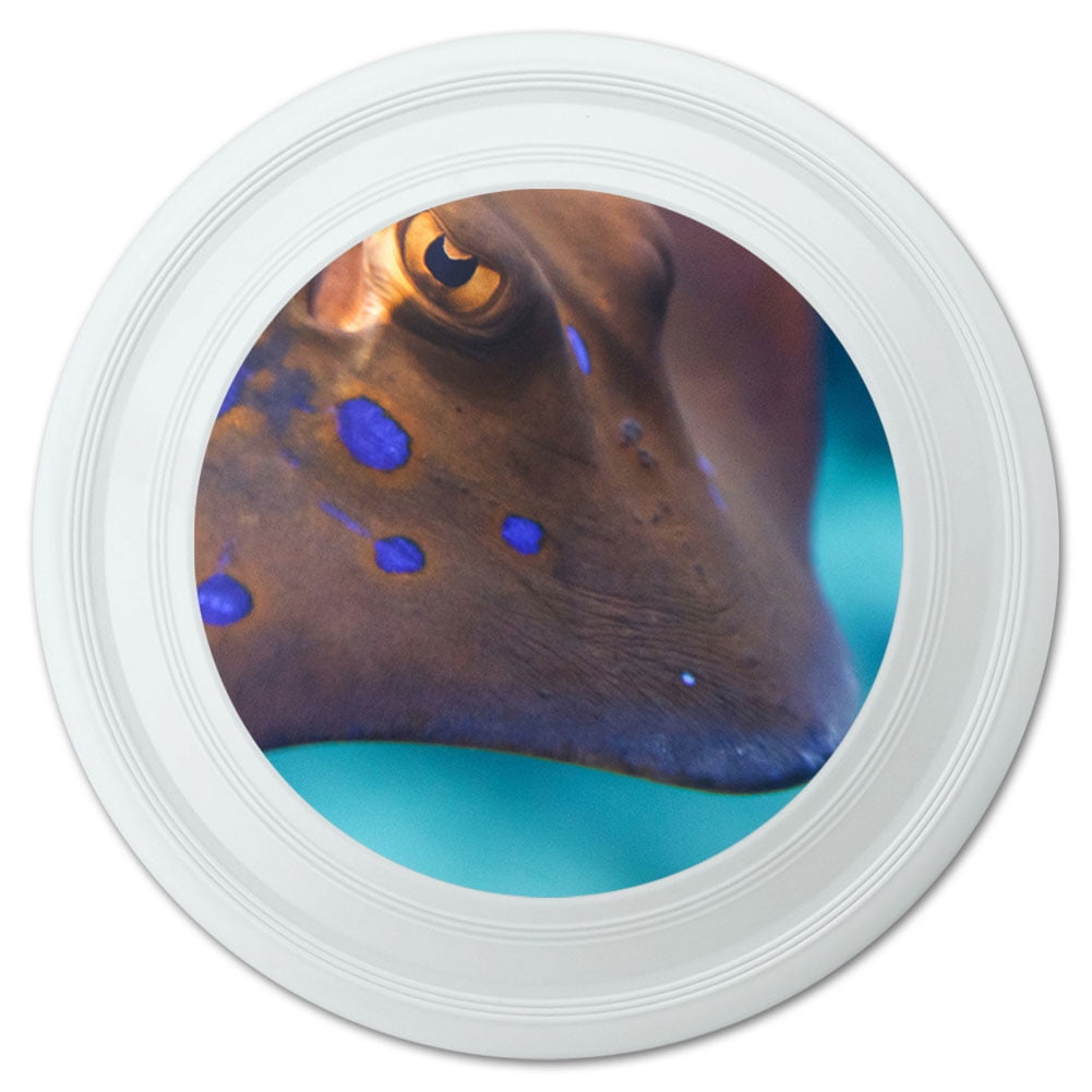Stingray Fish Underwater Ocean Diving Dive Novelty 9" Flying Disc ...
