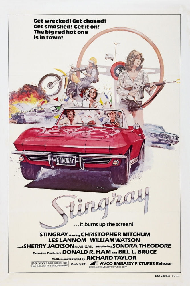 Stingray Poster Corvette Poster Metal Sign 8Inx 12In Metal Print 8x12 ...