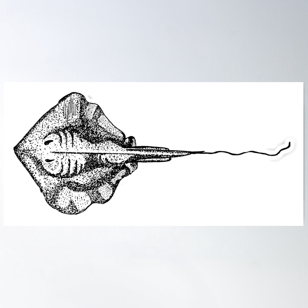 Stingray Poster Wall Art, Modern Wall Decor For Living Room Bedroom ...