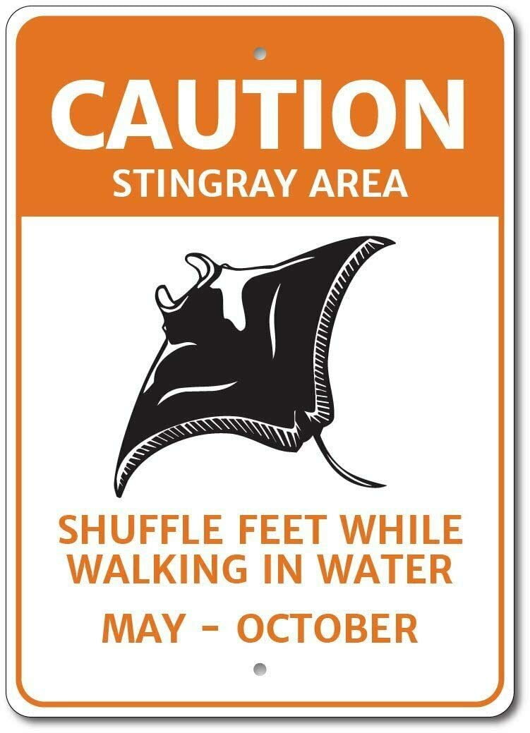 Stingray Sign, Stingray Decor, Stingray Gift Sign Metal Sign Size: 8 x ...