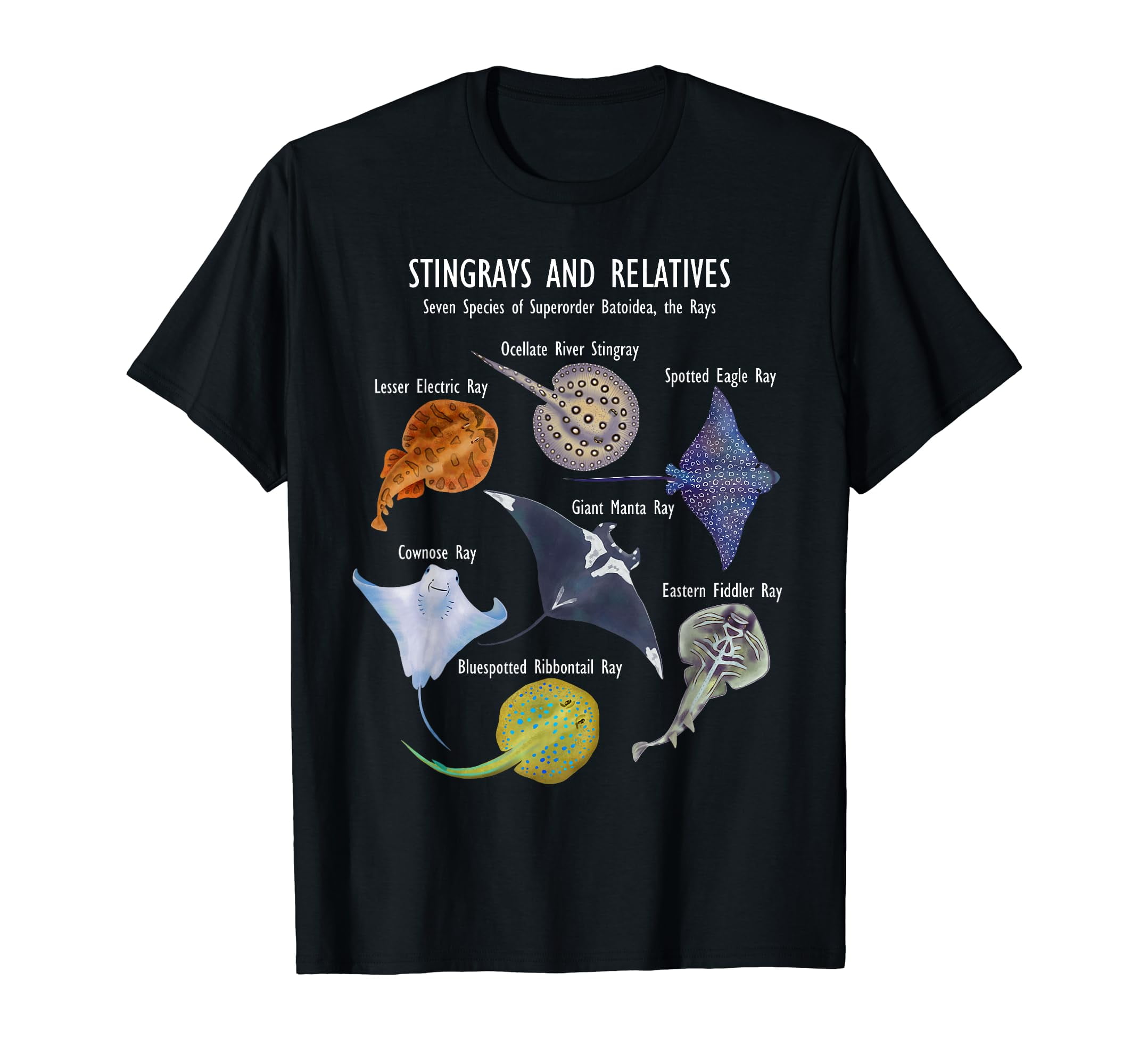 Stingray Species: Manta Ray, River Stingray, and More T-Shirt - Walmart.com Stingray Species: Manta Ray, River Stingray, and More T-Shirt - Walmart.com