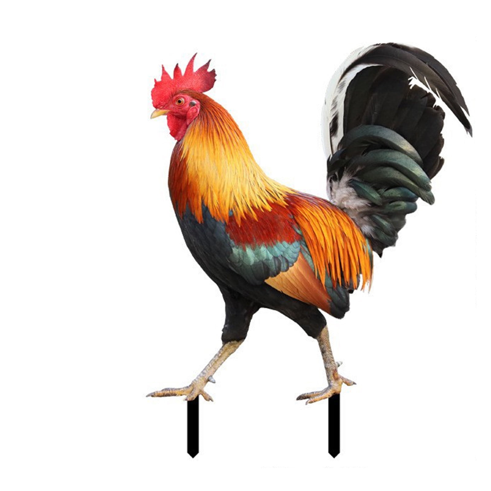 Stiwee Trendy Garden Decor Chicken Garden Plug-in Garden Decoration ...