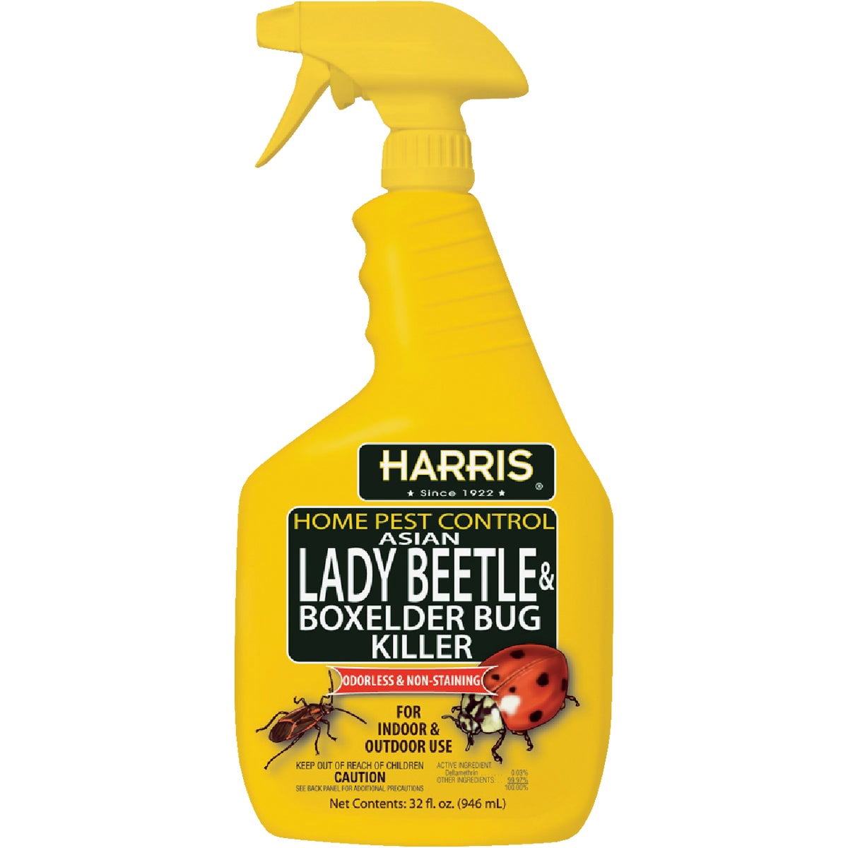 Stkertools Asian Beetle Killer HBXA-32 - Insecticide Liquid - 32oz ...