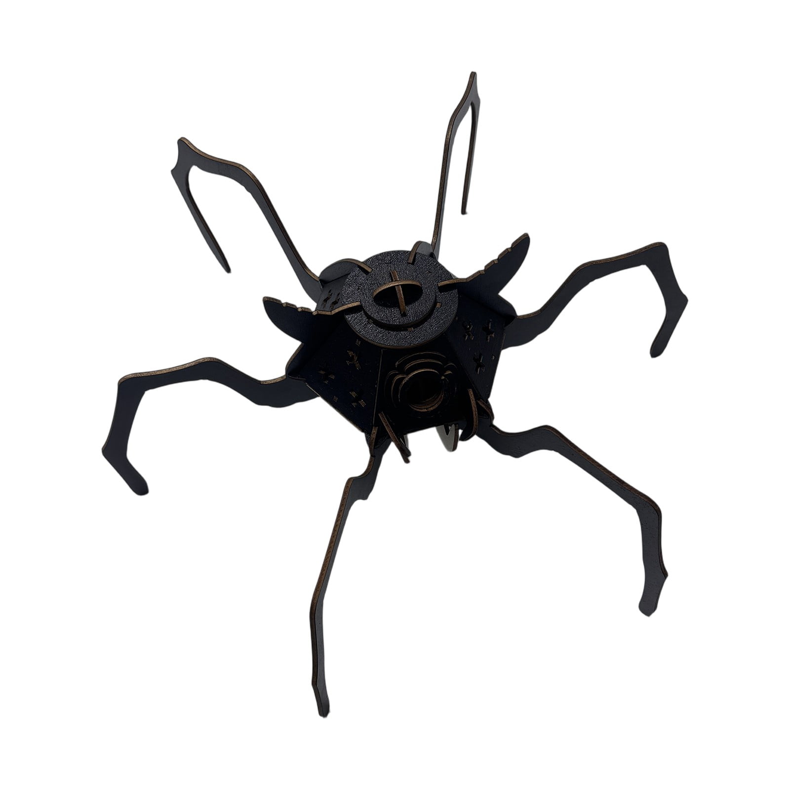 StlyGar Halloween Spider Lantern, 3D DIY Assembly Decoration, Black ...