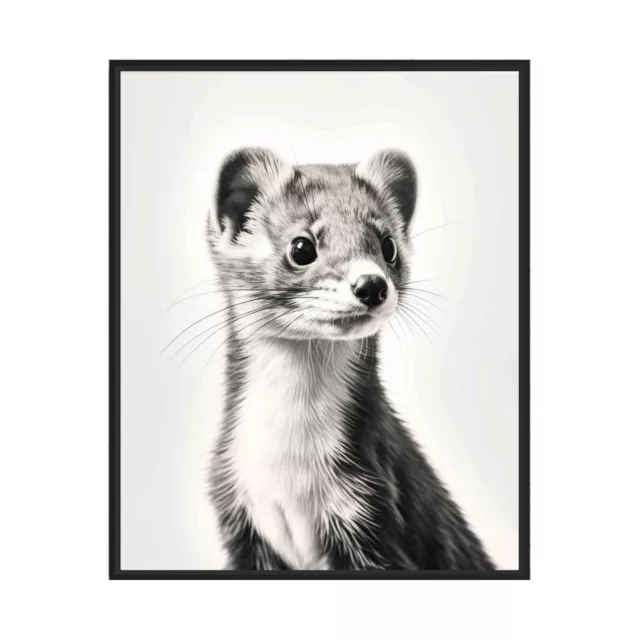 Stoat Black And White Animal Photo Art Print Poster Wall Art Painting ...