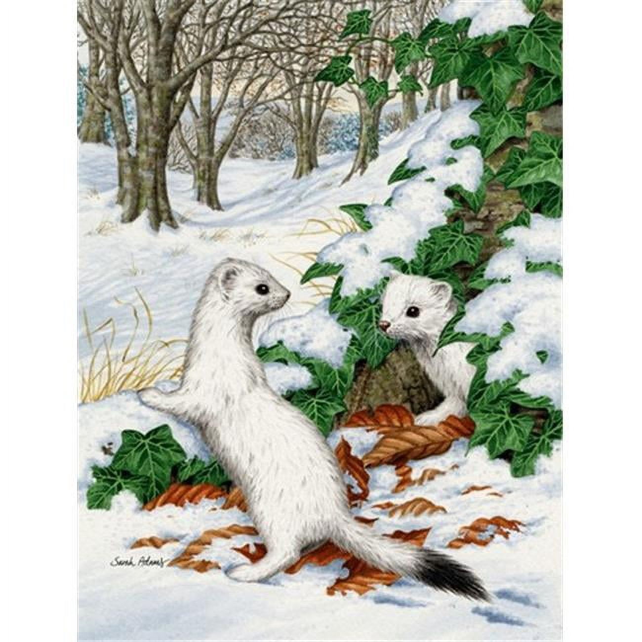 Stoats Short-Tailed Weasel Flag Canvas House Size - Walmart.com