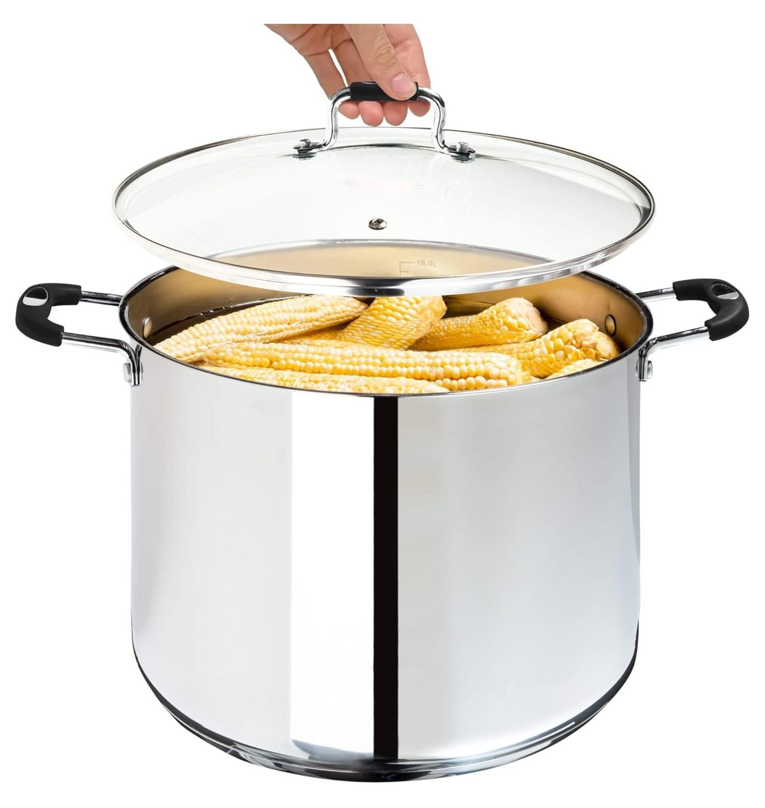 Stock Pot, Large Stainless Steel 17 Quart StockPot, Large Cooking Pot ...