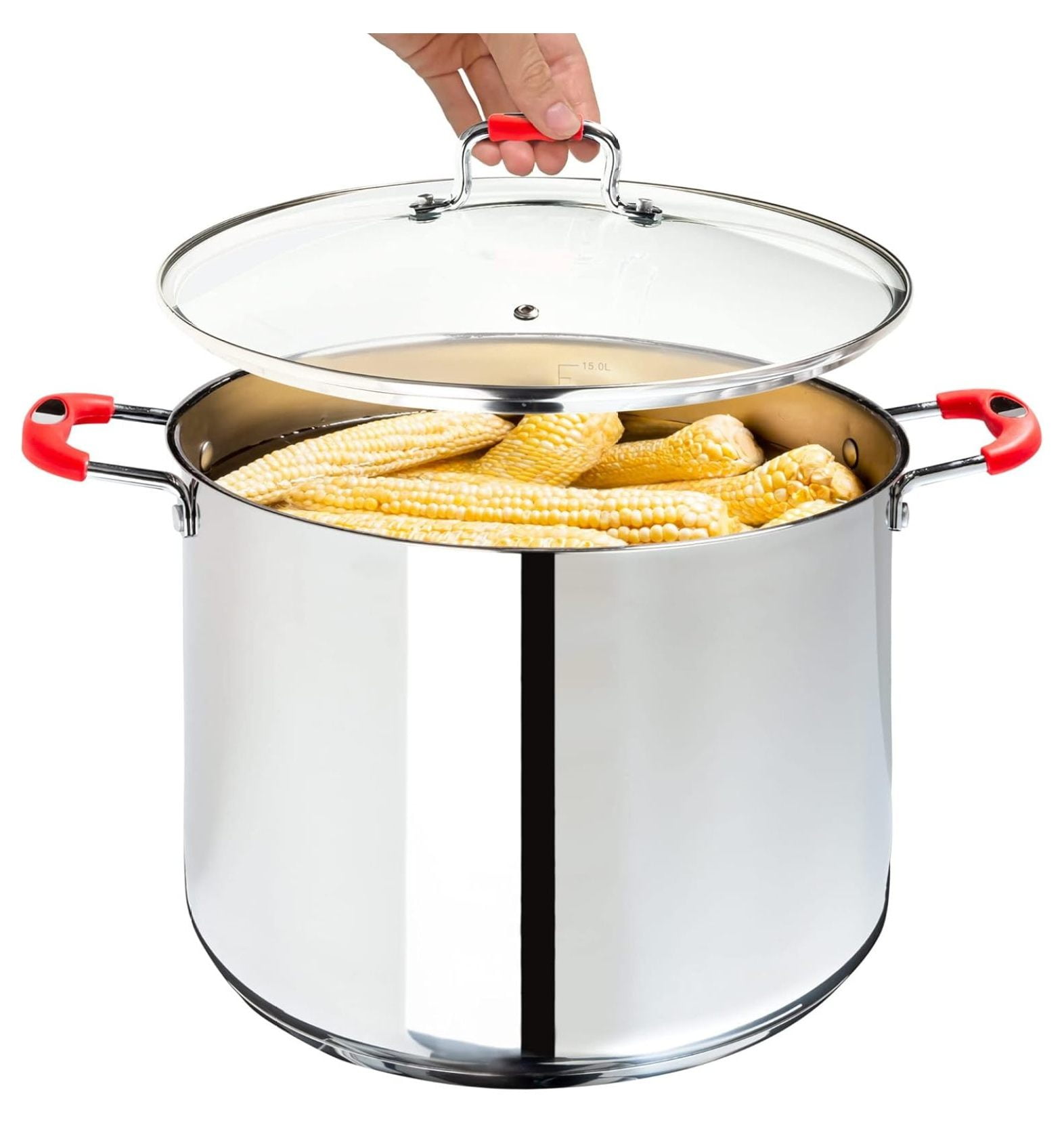 Stock Pot, Large Stainless Steel 17 Quart StockPot, Large Cooking Pot ...