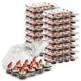 Stock Your Home Plastic Mini Cupcake Boxes (40 Count) - 12-Compartment ...