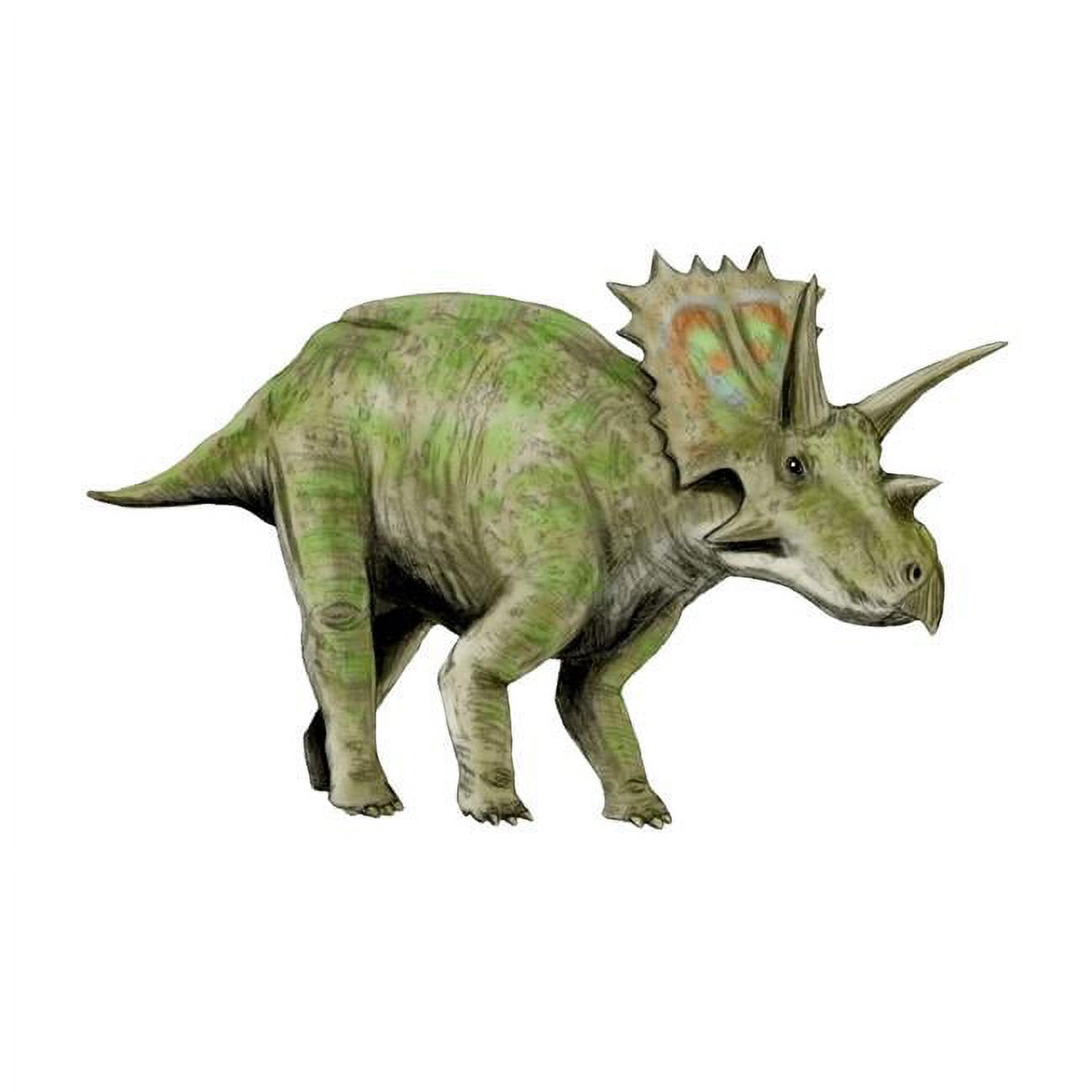 StockTrek Images Anchiceratops is A Ceratopsian Dinosaur From The ...